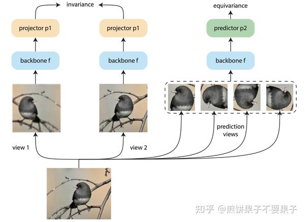 【变化 + 不变】Equivariant Contrastive Learning - 知乎