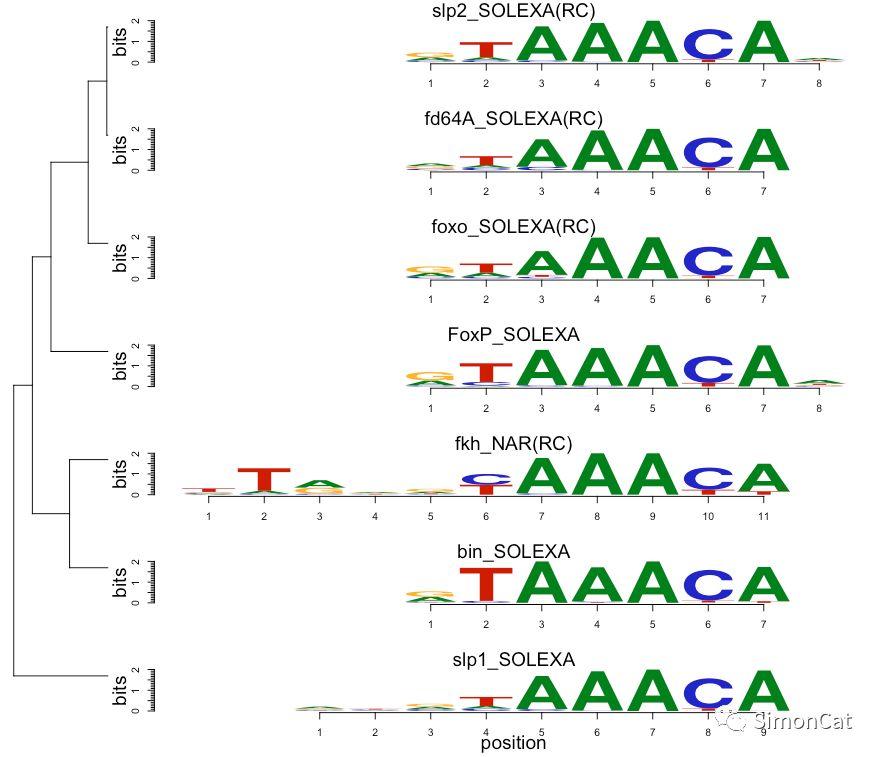 MotifStack：多motif序列比较和可视化 - 知乎