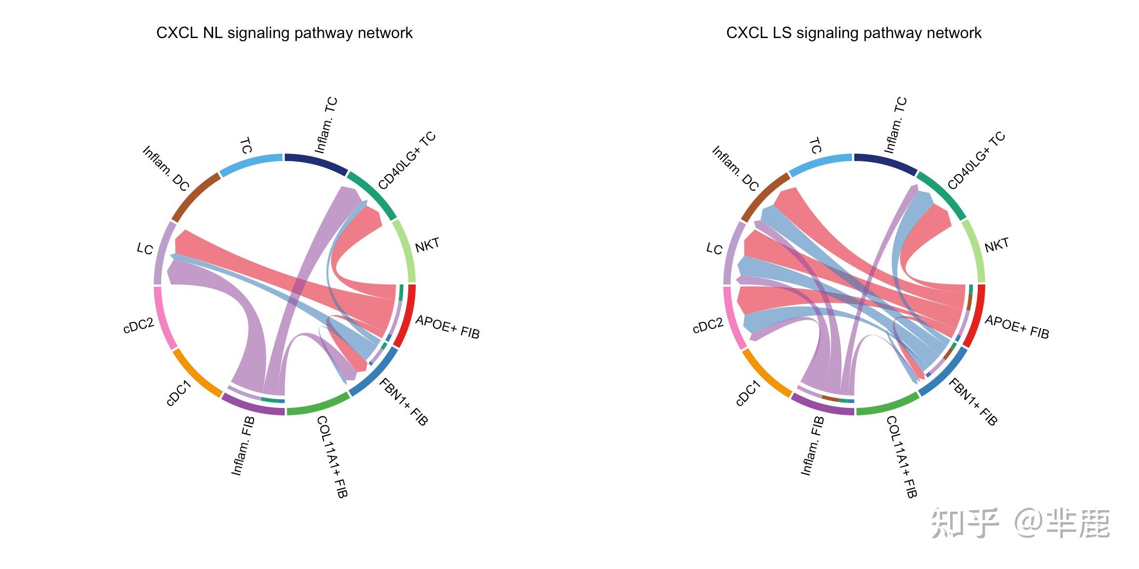 CellChat细胞通讯分析（下）--实操代码·多个数据集比较分析 - 知乎