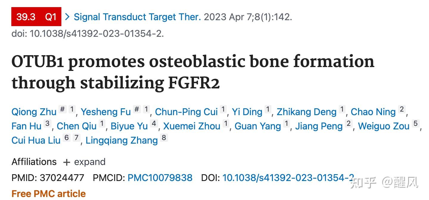 OTUB1通过稳定FGFR2促进成骨细胞骨的形成 - 知乎