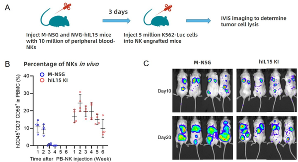 NK细胞丨肿瘤免疫治疗的下一个"顶流"！ - 知乎