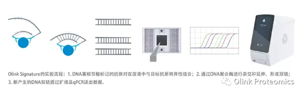 PEA进化史|从中心法则洞见蛋白组质组学发展未来 - 知乎
