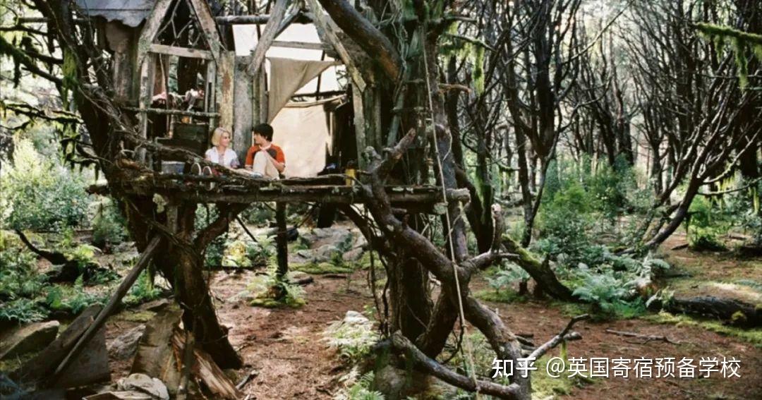 “Bridge to Terabithia”《寻找仙境之桥》 - 知乎