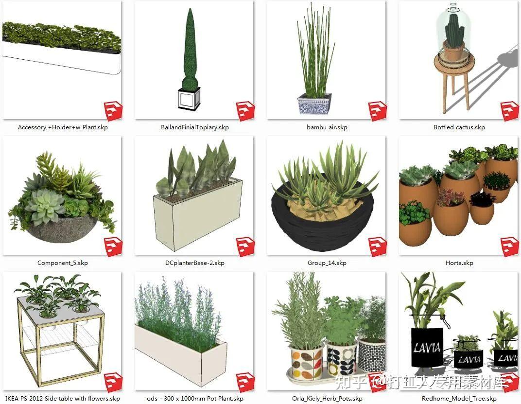 超全SU常用植物库素材大合集（2D、3D的写实风手绘风树木、灌木、花卉、盆栽均有） - 知乎