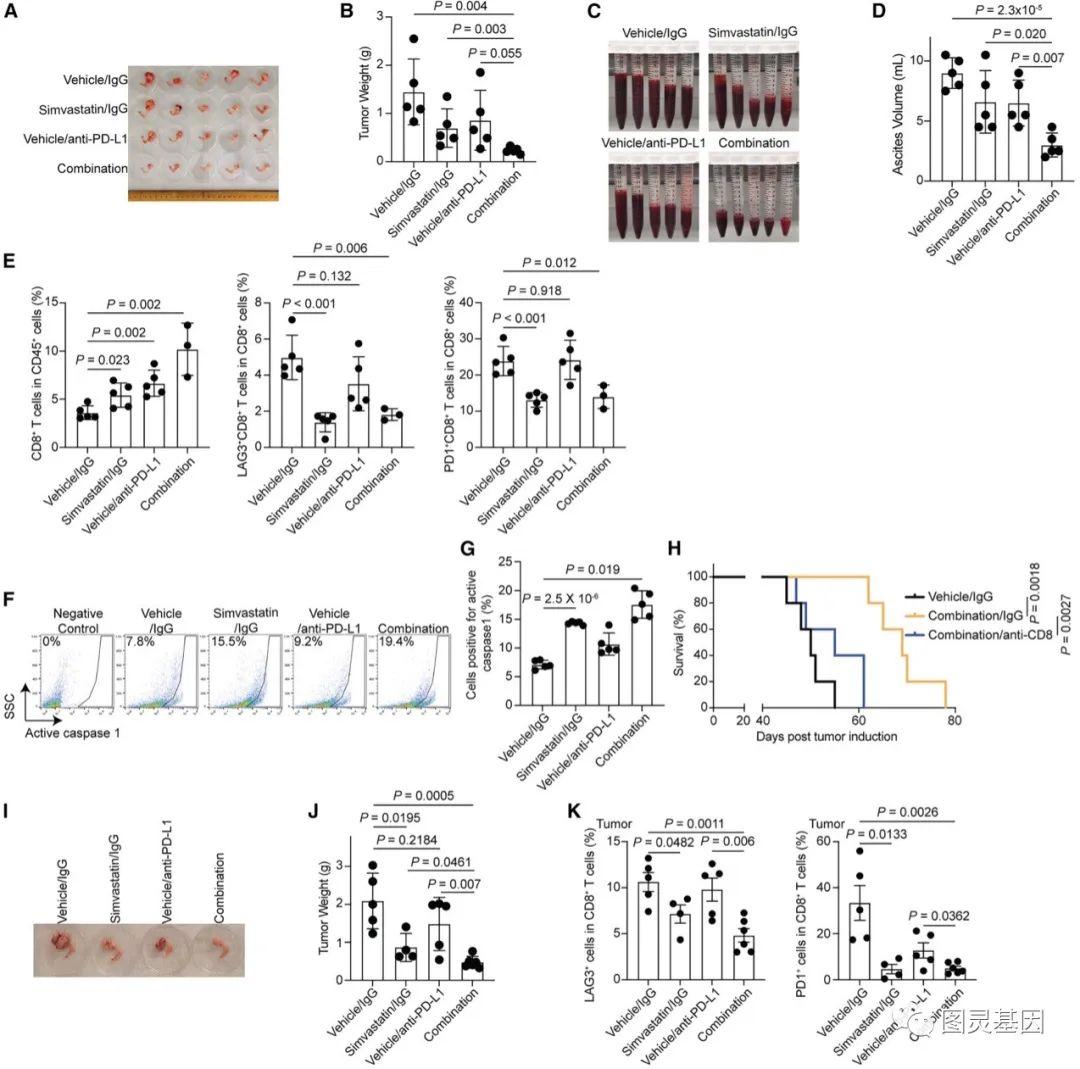 Cancer Cell ｜ 揭秘他汀类药物通过焦亡抑制癌症机制 - 知乎