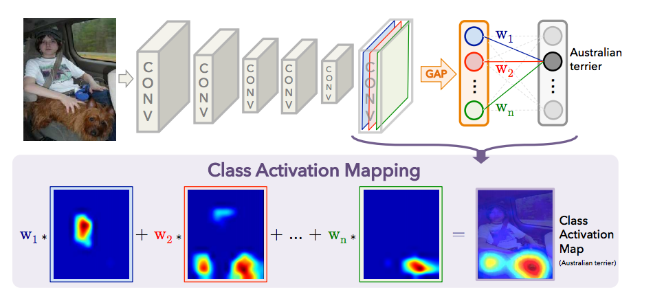 论文笔记： Learning Deep Features for Discriminative Localization - 知乎