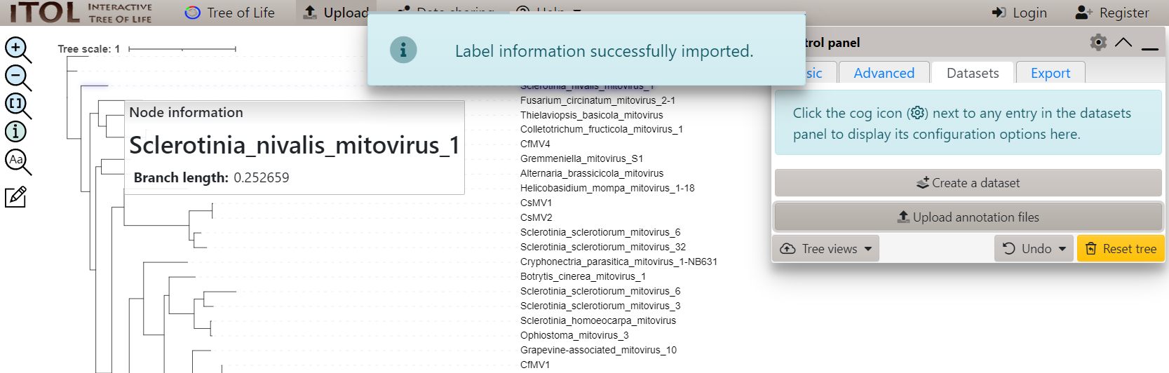 系统进化树的构建及美化(phylusuite+iTOL) - 知乎