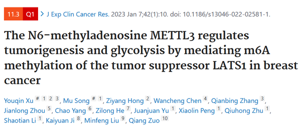 RNA m6A修饰在临床疾病中的研究思路 - 知乎