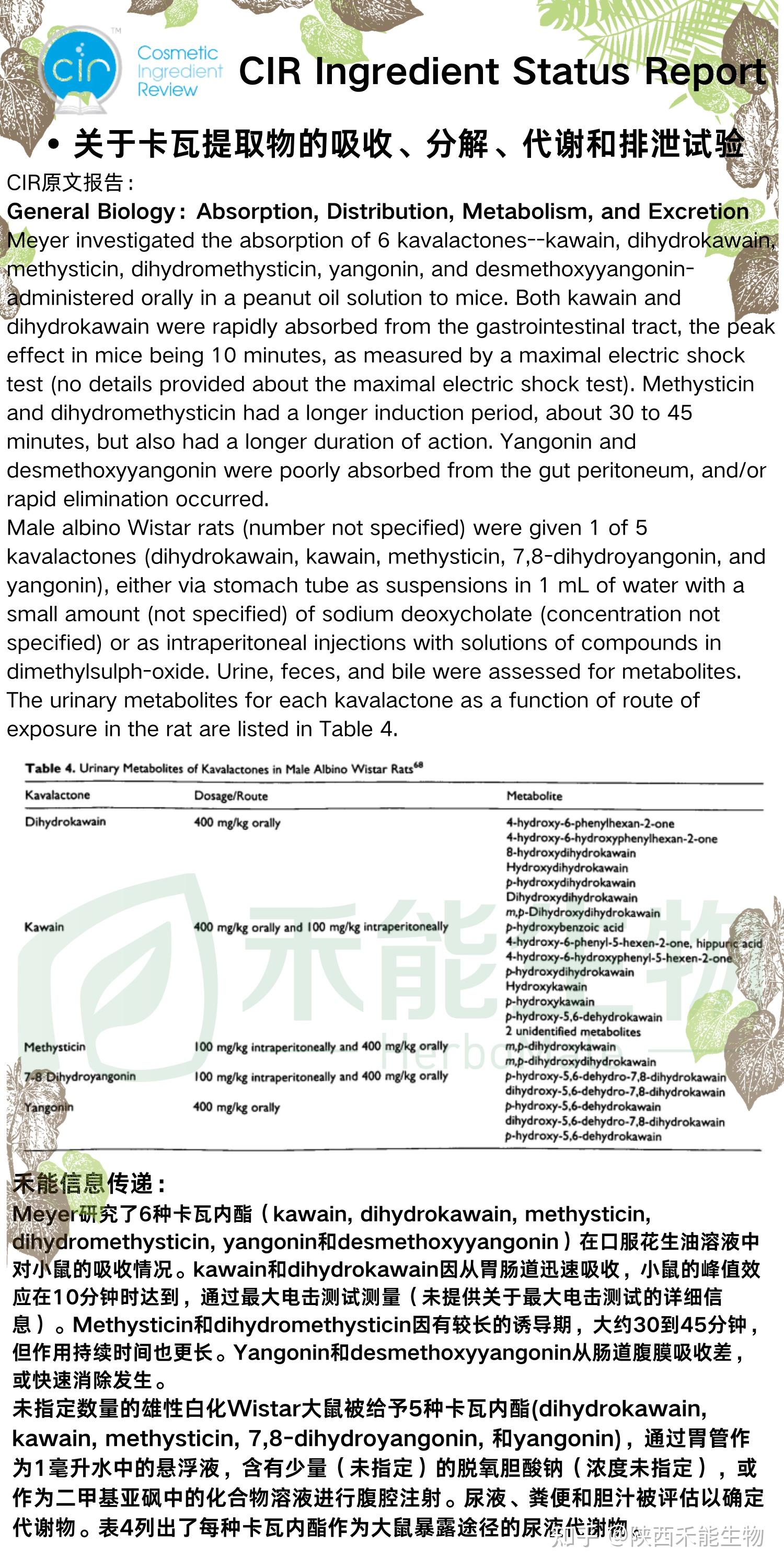 美国化妆品原料CIR:关于卡瓦胡椒提取物(Piper methysticum extract)在生物体内的吸收、代谢、分解和排泄小鼠实验 - 知乎