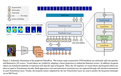 ECCV2022 Oral | 告别Heatmap，人体姿态估计表征新方法SimCC(SimDR) - 知乎