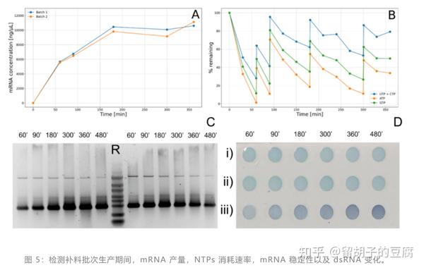 HPLC实时监控IVT体系，定时补料，高效合成mRNA。 - 知乎