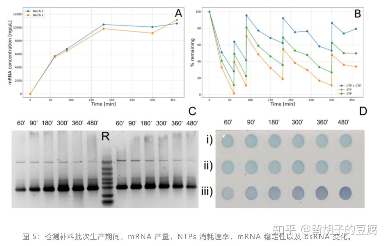 HPLC实时监控IVT体系，定时补料，高效合成mRNA。 - 知乎