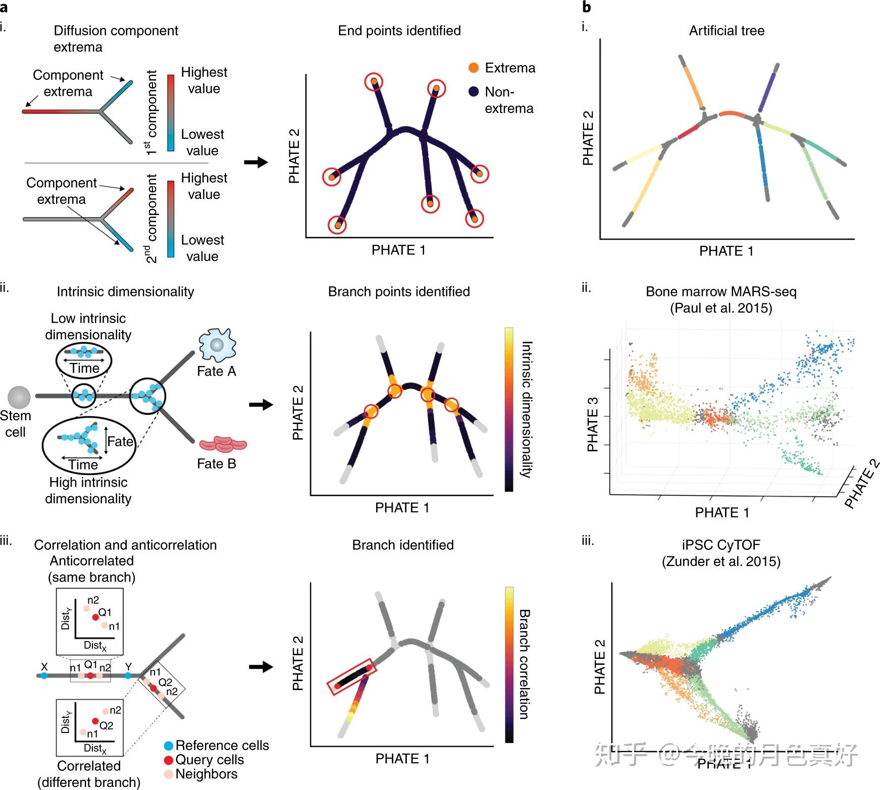 每天一篇单细胞38-- PHATE - 知乎