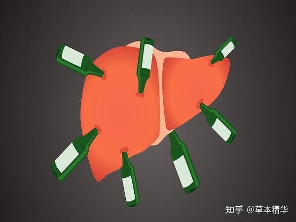 酒精肝与肝癌有什么关系？成都普济中医肿瘤医院杨成平解答 知乎