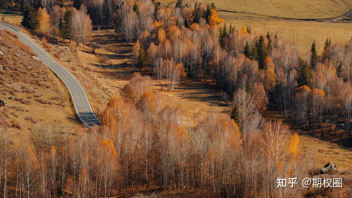 详细了解50etf期权虚值杠杆是多大？ - 知乎