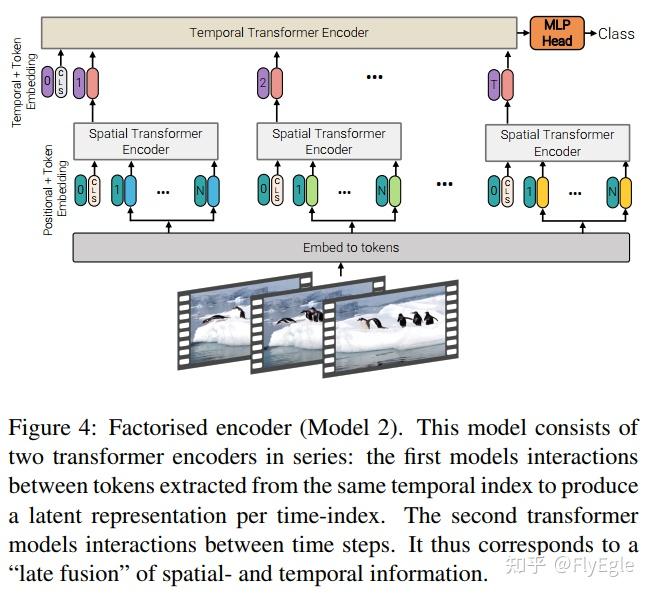 VideoTransformer系列(二)：ViViT: A Video Vision Transformer - 知乎