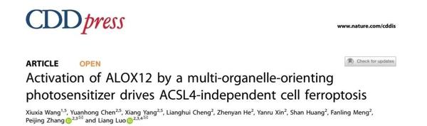 CDD︱罗亮/张佩景/王修霞团队发现同时靶向多个细胞器光敏剂能够通过激活ALOX12诱导肿瘤细胞发生ACSL4非依赖性的铁死亡 - 知乎