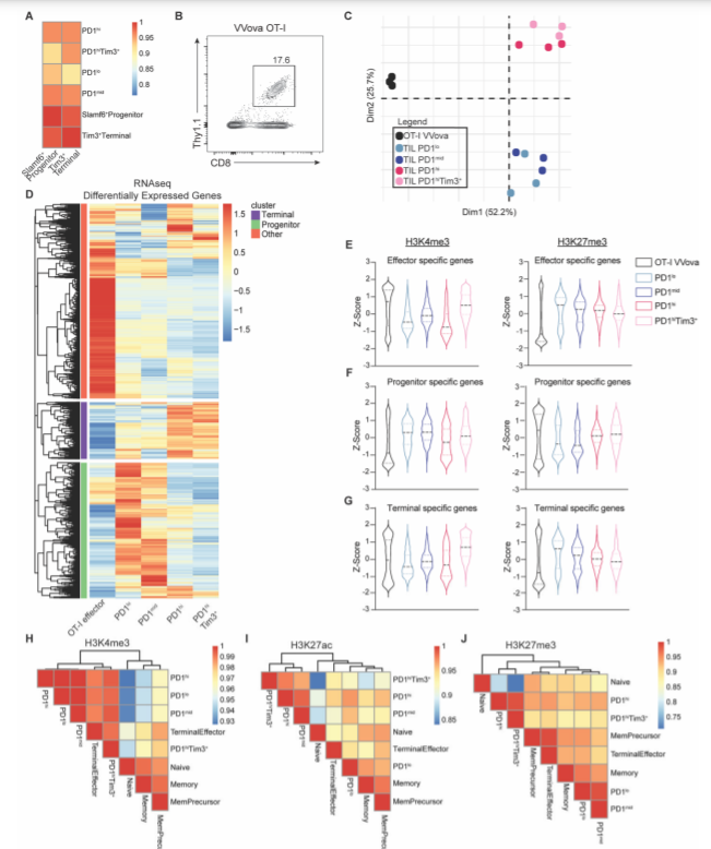 Sci Immu | 肿瘤微环境信号限制T细胞功能潜力机制 - 知乎