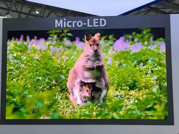 洲明、BOE、深天马、维信诺等大牌齐聚DIC，展MLED、MIP、玻璃基、量子点、OLED、透明屏等前沿显示技术 - 知乎