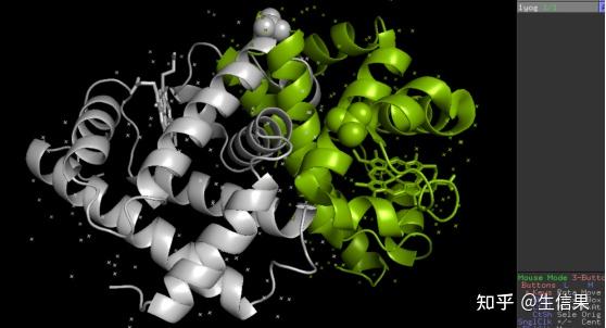 小果震惊！利用PyMol比对蛋白质三维结构原来如此简单！ - 知乎
