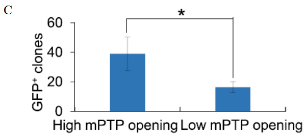 代谢组学助力研究“线粒体闪烁”,揭示细胞“返老还童”的新奥秘 - 知乎