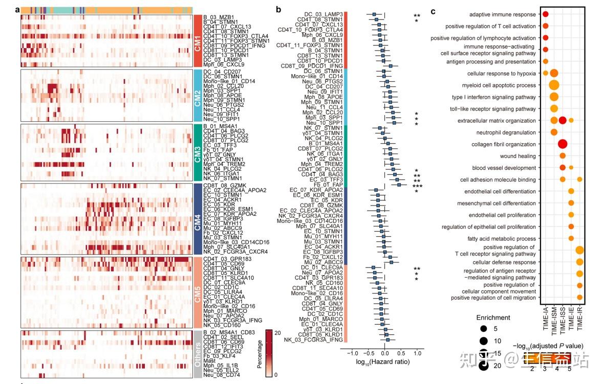 登顶Nature！单细胞测序揭示肝癌免疫治疗新靶点 - 知乎