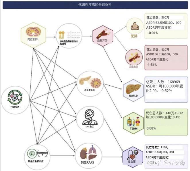 “全球代谢病流行地图”发布，2型糖尿病、肥胖负担依旧沉重！ - 知乎