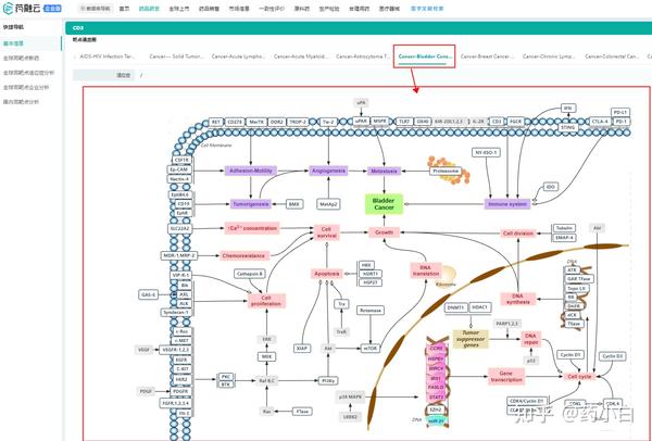 CD3在研药物管线-全球竞争格局-深度解析 - 知乎