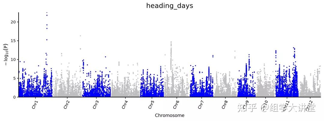 GWAS关联分析课程 - 知乎