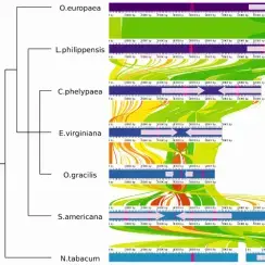chipseeker包的一些参数上的理解 - 知乎
