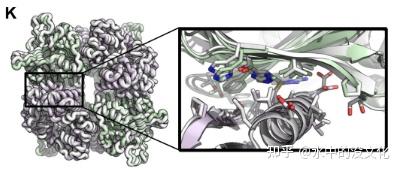ProteinMPNN使用与介绍 - 知乎