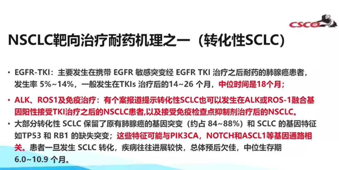 2021CSCO指南会丨复合型SCLC和转化性SCLC部分解读 - 知乎