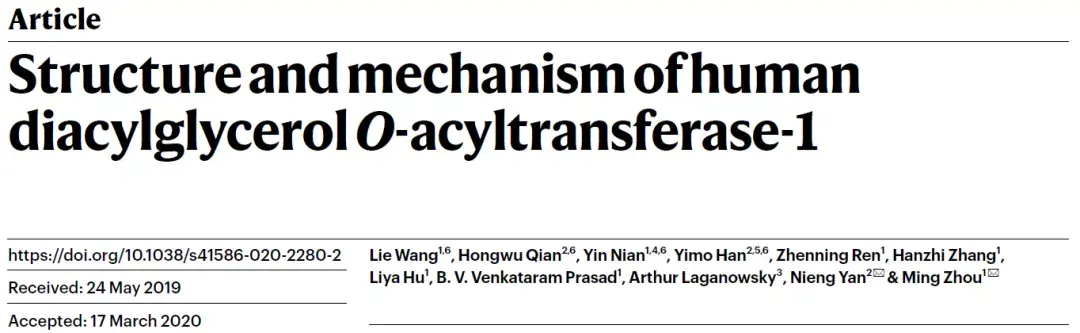Nature | 周鸣/颜宁课题组合作揭示人源二酰甘油酰基转移酶DGAT1 三维结构及催化机制 - 知乎