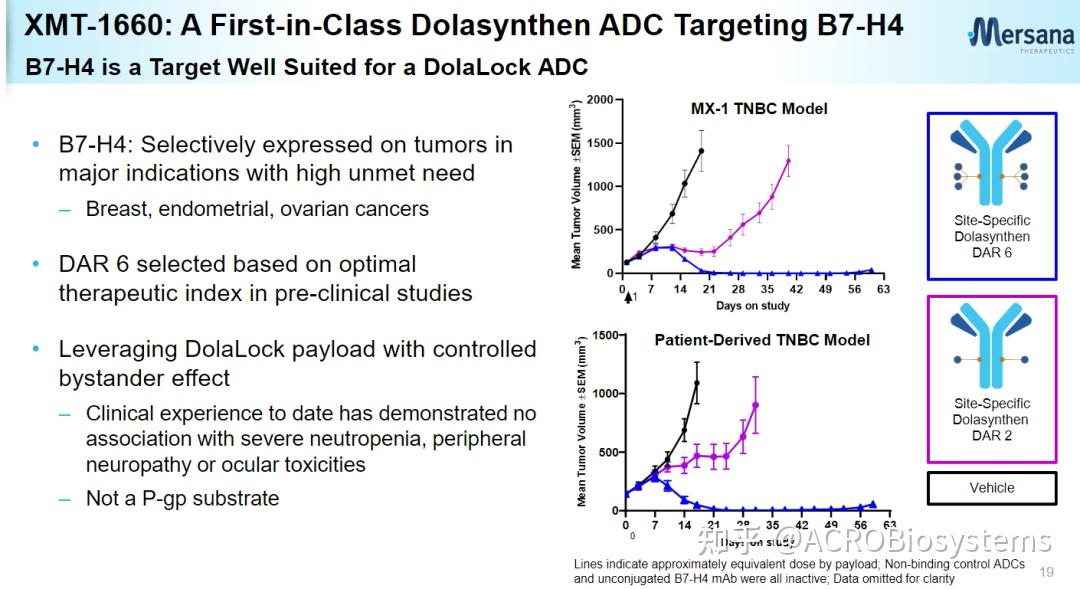 多面B7-H4，潜力不容小觑 - 知乎