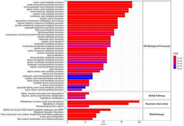 R可视化Metascape富集分析结果 - 知乎