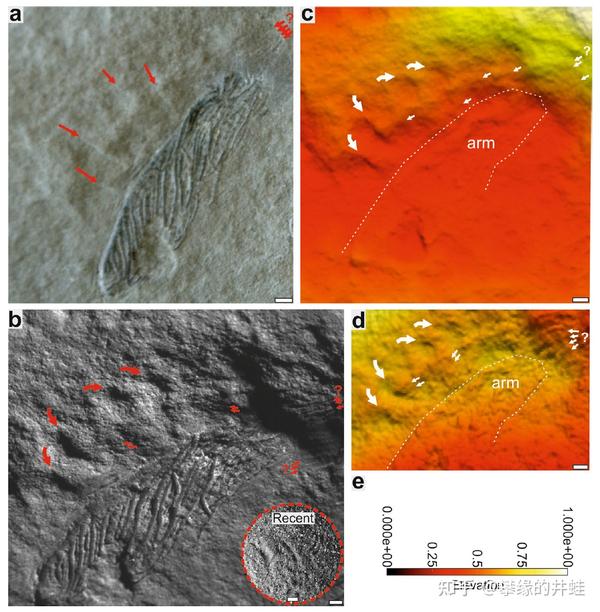 【地球演义】第二百七十四回 异界来客7：Alura Une - 知乎