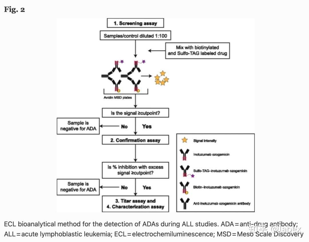 ADC抗体偶练药物MSD分析平台：Cell Based Binding，药物代谢，免疫原性 - 知乎