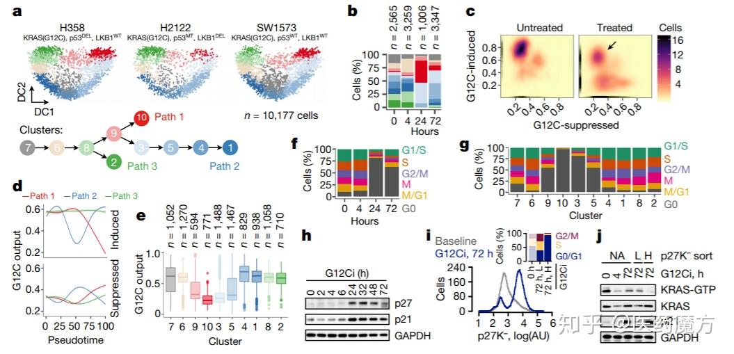 Nature：KRAS药物"救星"，找到了！ - 知乎