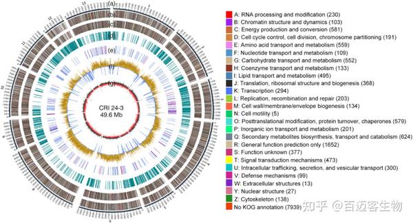 成功案例|首次公布F. solani-melongenae分离株 CRI 24-3 的高质量全基因组序列 - 知乎