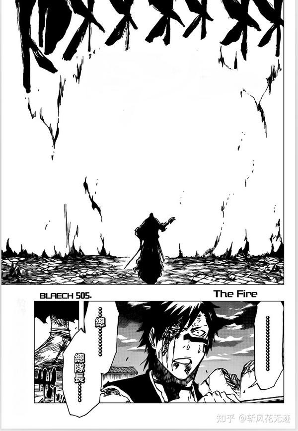 bleach 