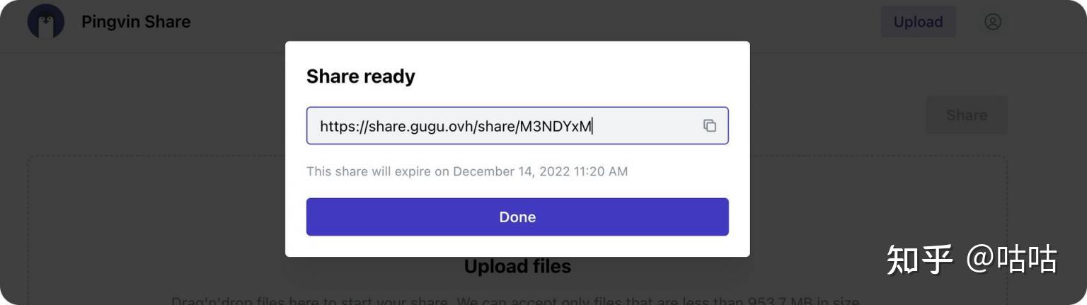 【好玩儿的Docker项目】Pingvin Share——一个专注于文件分享的高颜值轻量小工具！ - 知乎