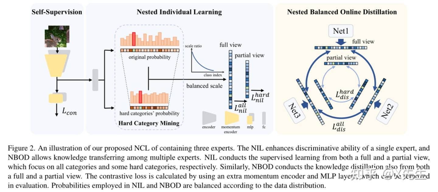 《Nested Collaborative Learning for Long-Tailed Visual Recognition》基于嵌套协作学习的长尾视觉识别 - 知乎