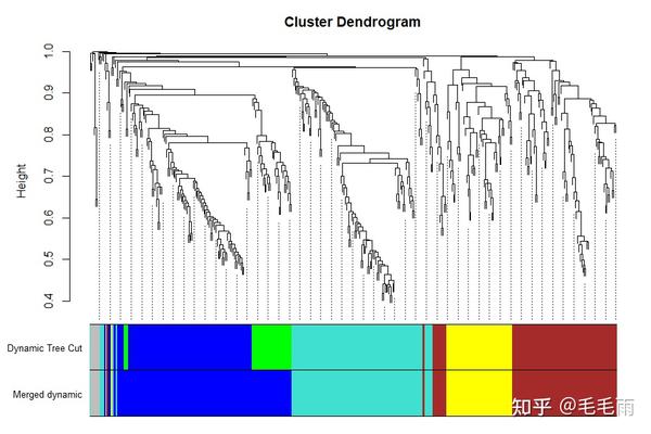 阿伟的WGCNA分析手册（一） - 知乎