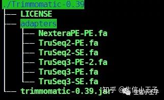转录组分析 | 使用Trimmomatic过滤Fastq文件 - 知乎
