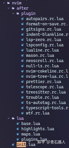 差生文具多系列之如何把Neovim整成VSCode （一）基础配置篇 - 知乎
