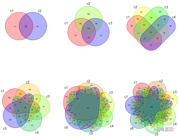 FigDraw 9. SCI 文章绘图之韦恩图 (Vennplot) - 知乎