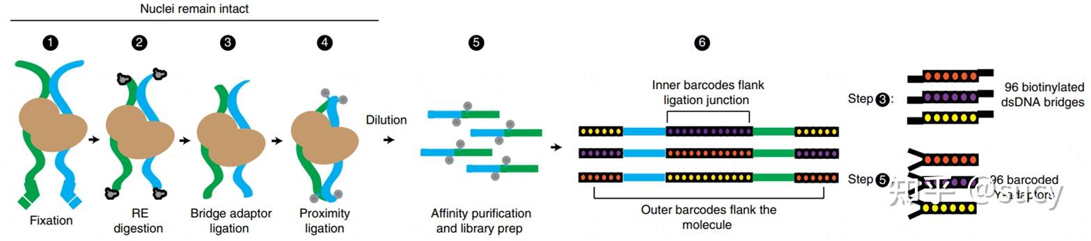 表观组学 - 知乎
