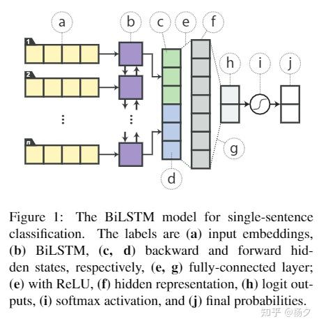 【关于 BERT into Simple Neural Networks】那些你不知道的事 - 知乎