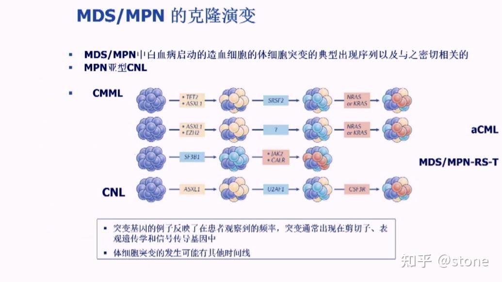 MDS/MPN（骨髓增生异常综合征/骨髓增殖性肿瘤） - 知乎
