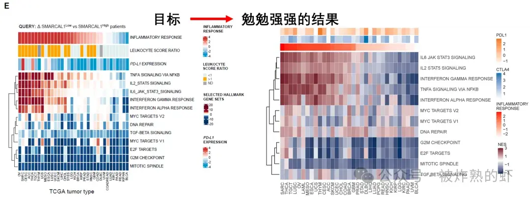 绘图练习 | 使用ggplot2绘制热图 - 知乎